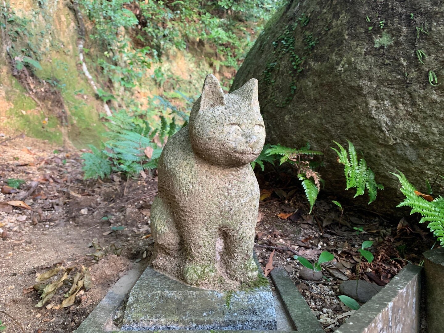 笠置山 秘境の巨石群 / OGWさんの笠置山の活動データ | YAMAP / ヤマップ