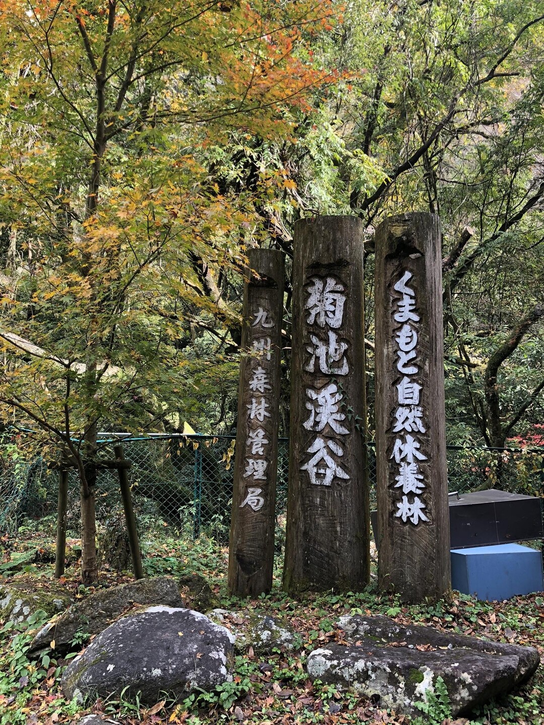 菊池渓谷ウォーキング-2022-11-21 / 🐰Lininha(Lina)🐢🐇さんのウォーキングの活動データ | YAMAP / ヤマップ