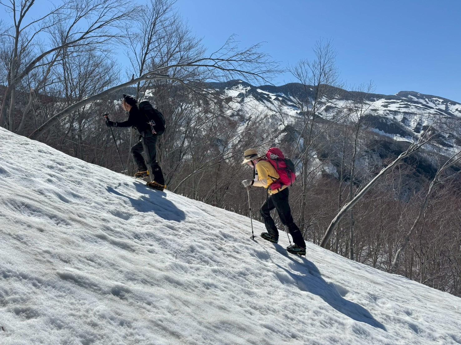 巻機山 今年は雪がたっぷり / mtakoさんの巻機山・割引岳・金城山の活動データ | YAMAP / ヤマップ