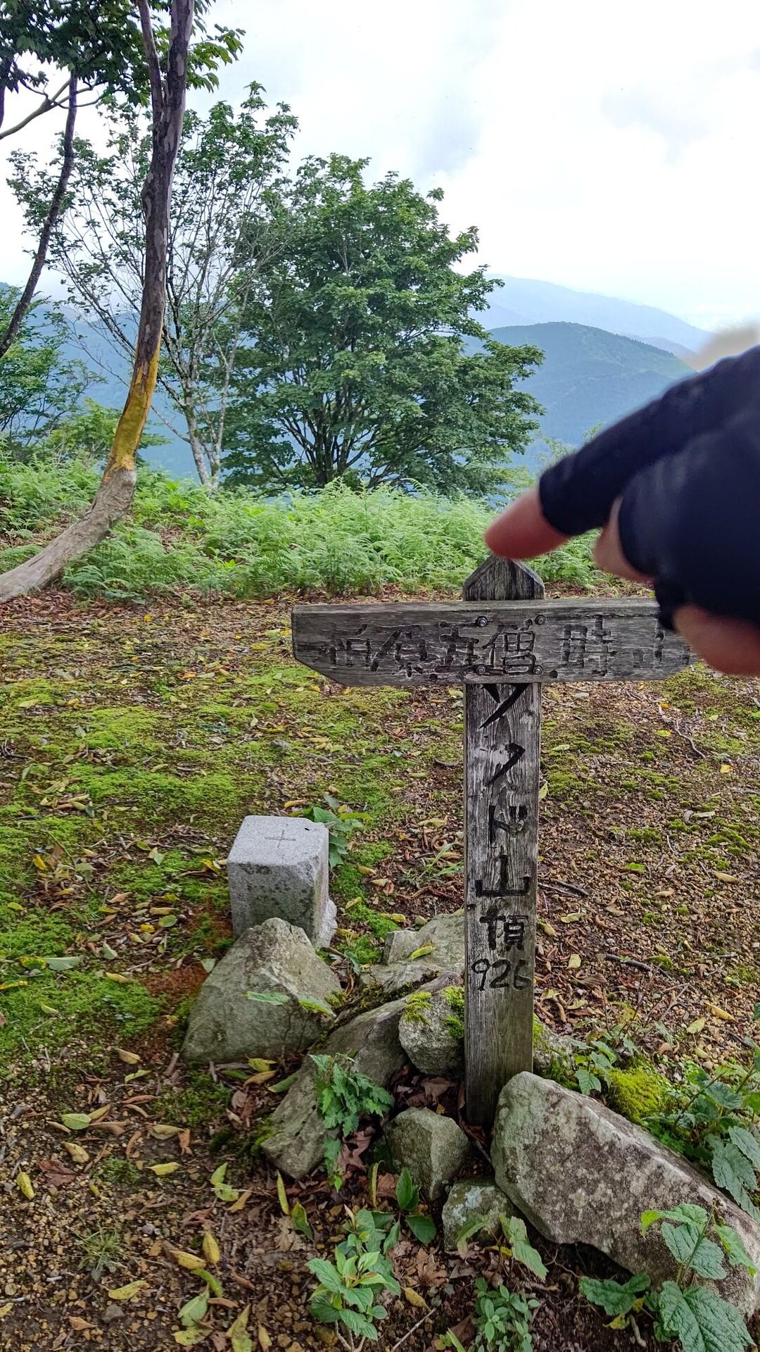 高塚山・ソノド / guriko5さんの霊仙山の活動データ | YAMAP / ヤマップ