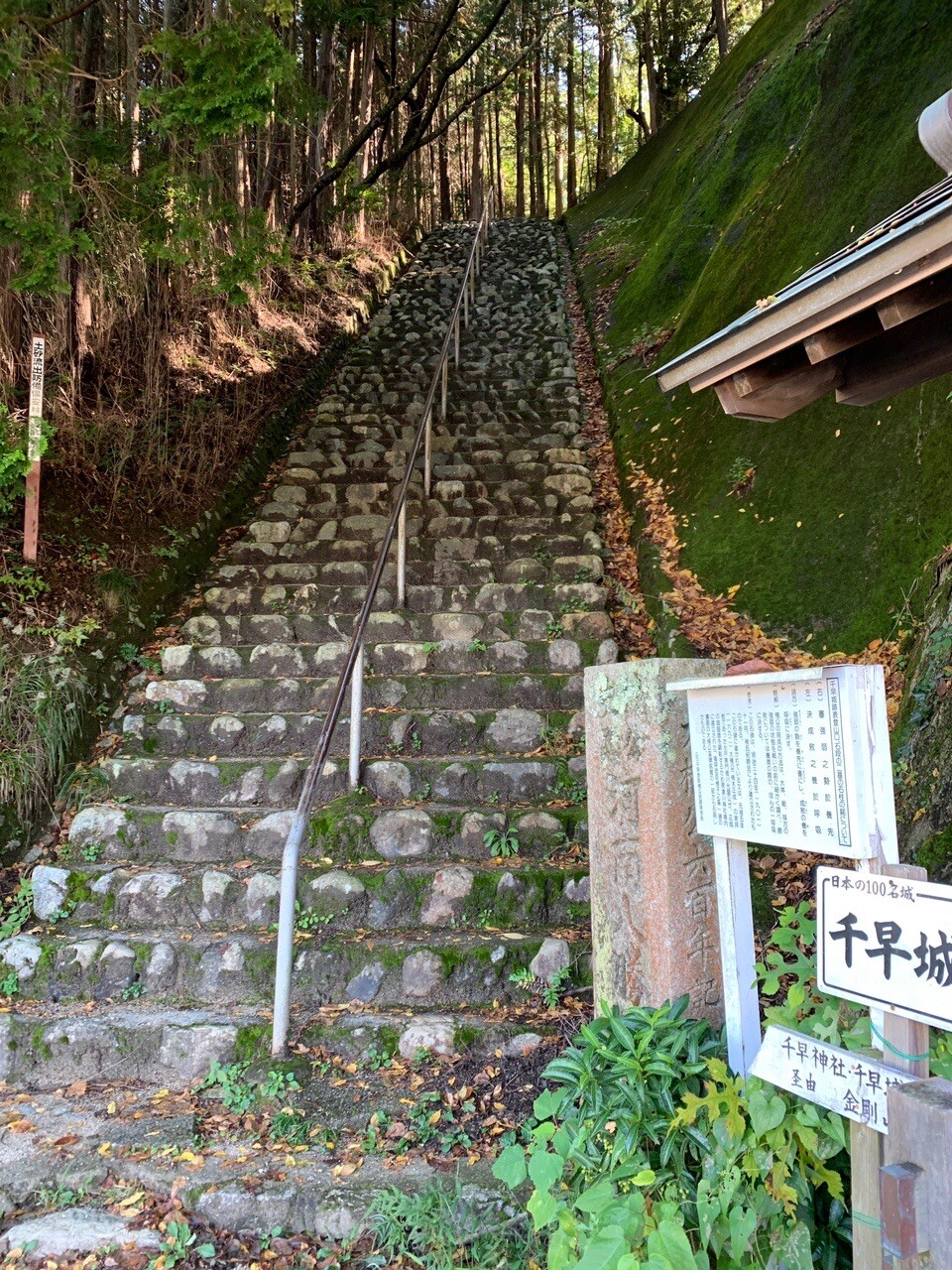 Merry さんの投稿したフィールドメモ | YAMAP / ヤマップ