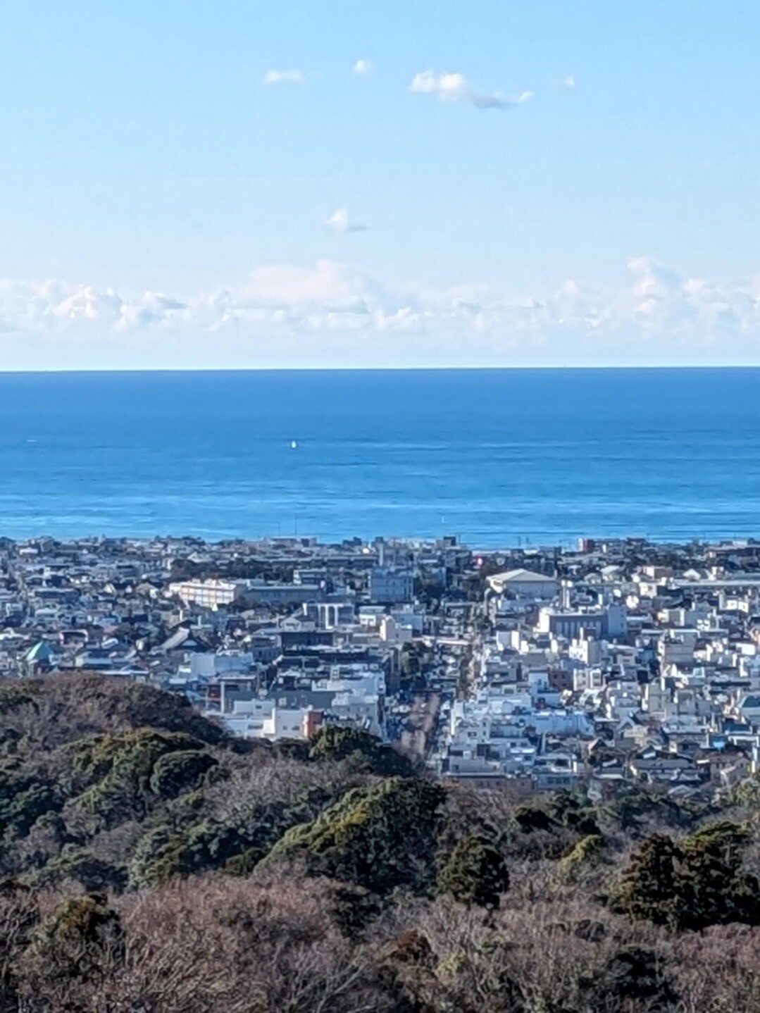 鎌倉アルプス / Sam&Azuさんの鎌倉アルプス（大平山・天台山）の活動データ | YAMAP / ヤマップ