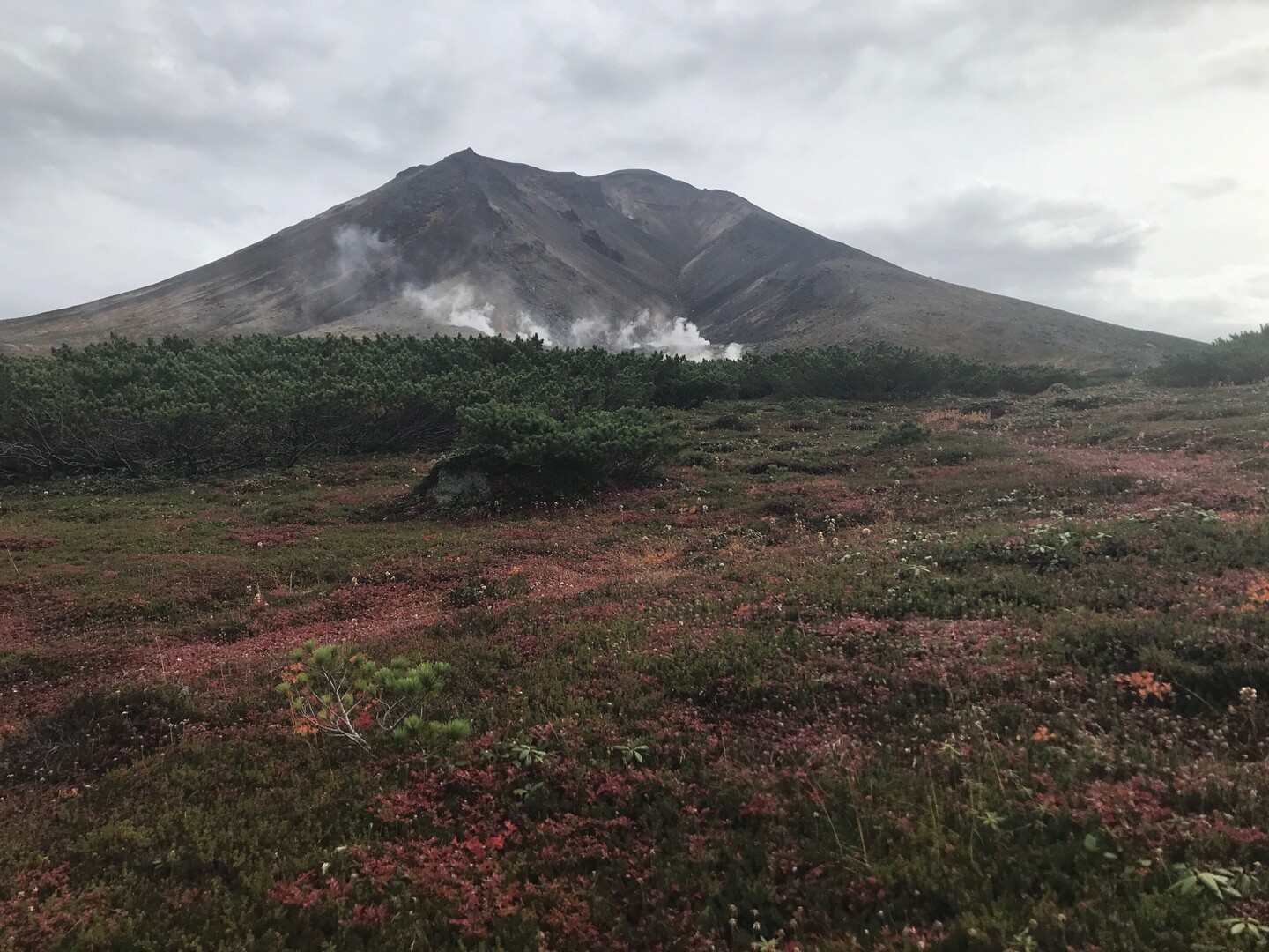 【北海道遠征vo.2】旭岳⛰ / ユタカさんの大雪山系・旭岳・トムラウシの活動データ | YAMAP / ヤマップ