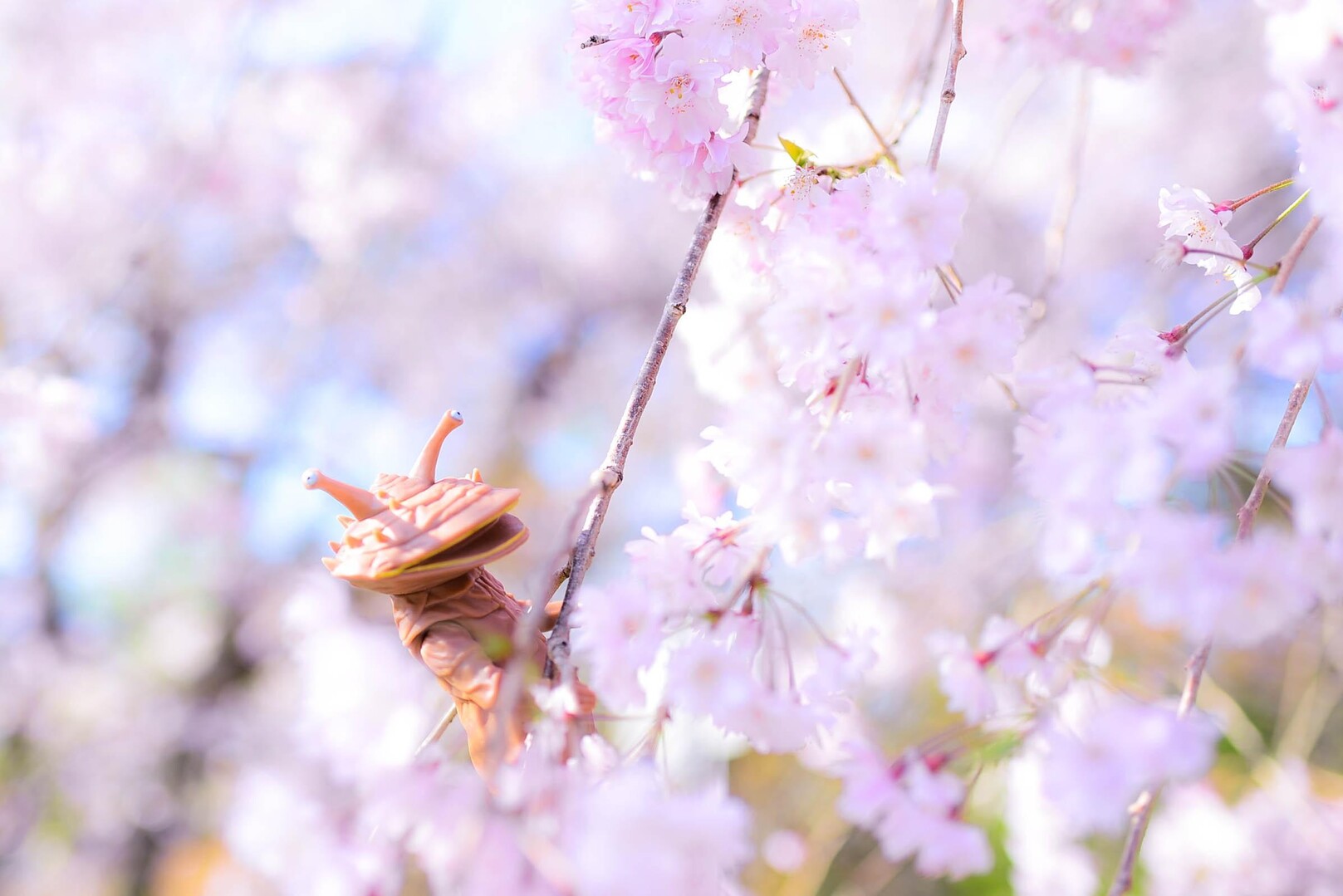 emiのページ | YAMAP / ヤマップ