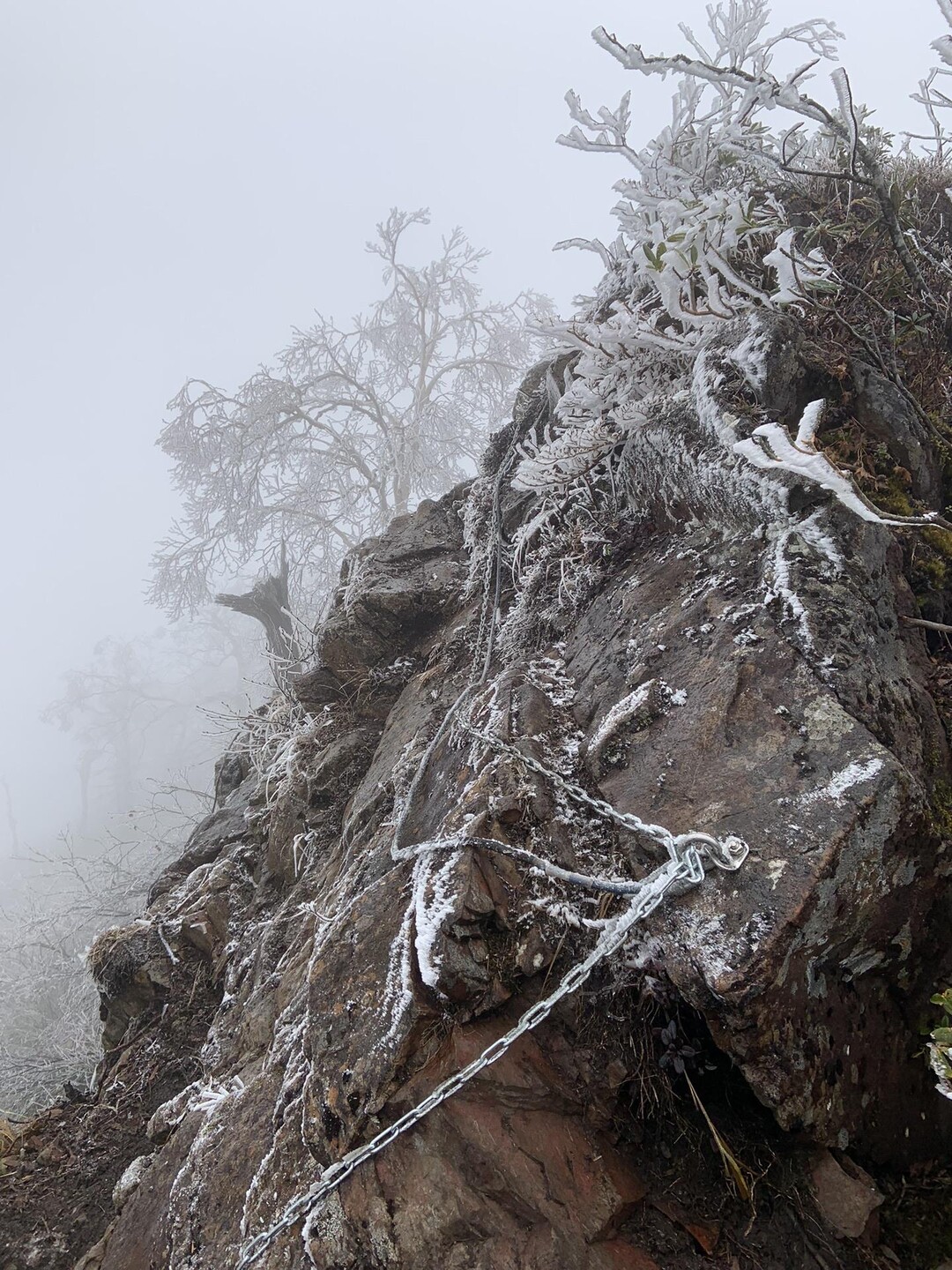 武尊山 不動岳ルート / mini.TMKさんの武尊山・鹿俣山・尼ヶ禿山の活動データ | YAMAP / ヤマップ