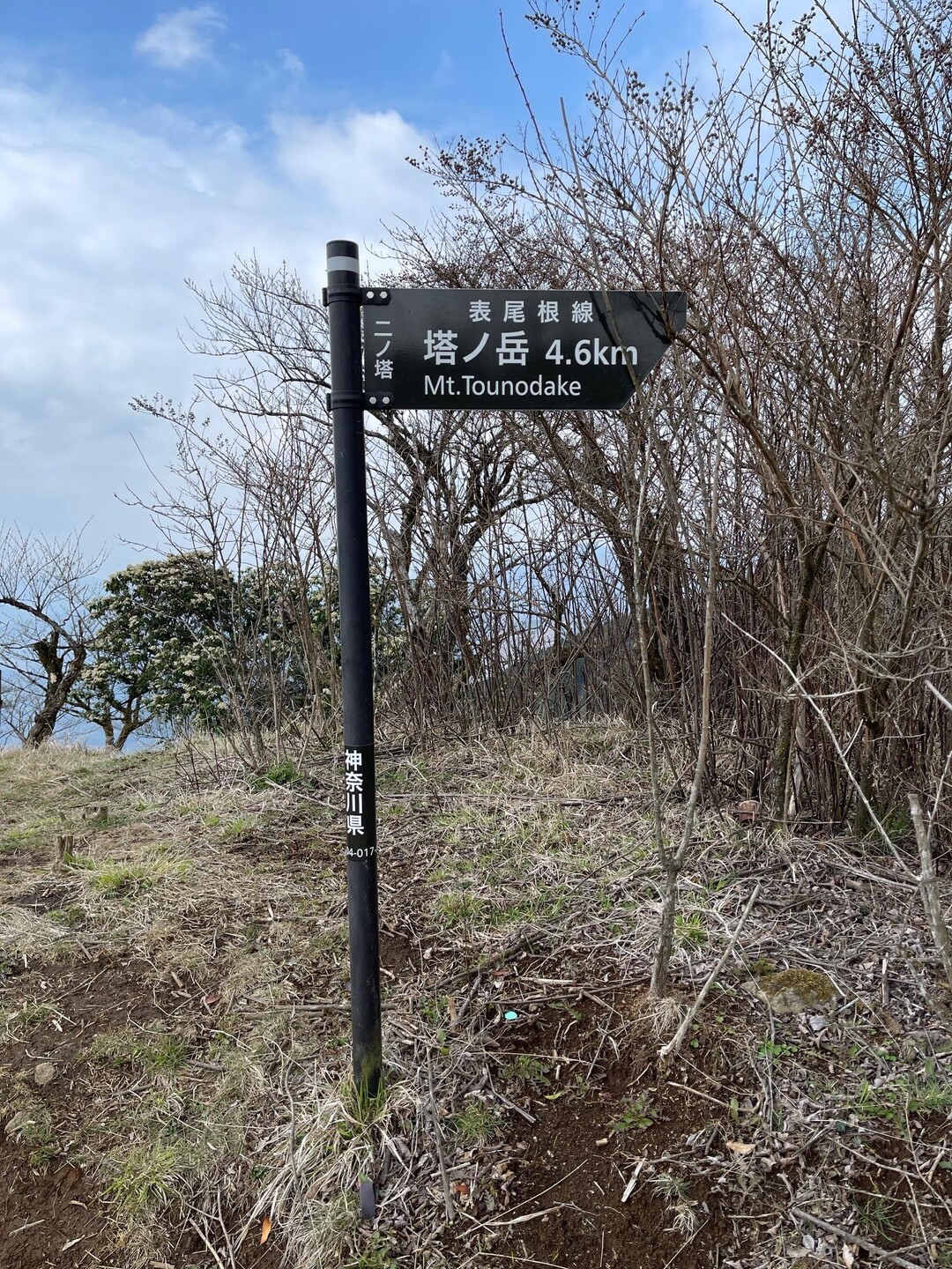 おはぎさんの投稿したフィールドメモ | YAMAP / ヤマップ