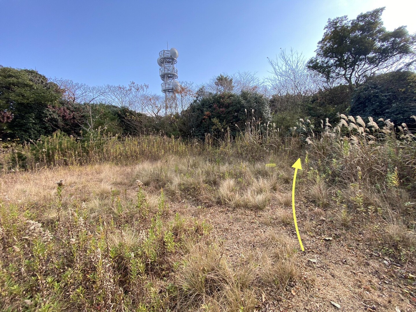 Taka32さんの投稿したフィールドメモ | YAMAP / ヤマップ