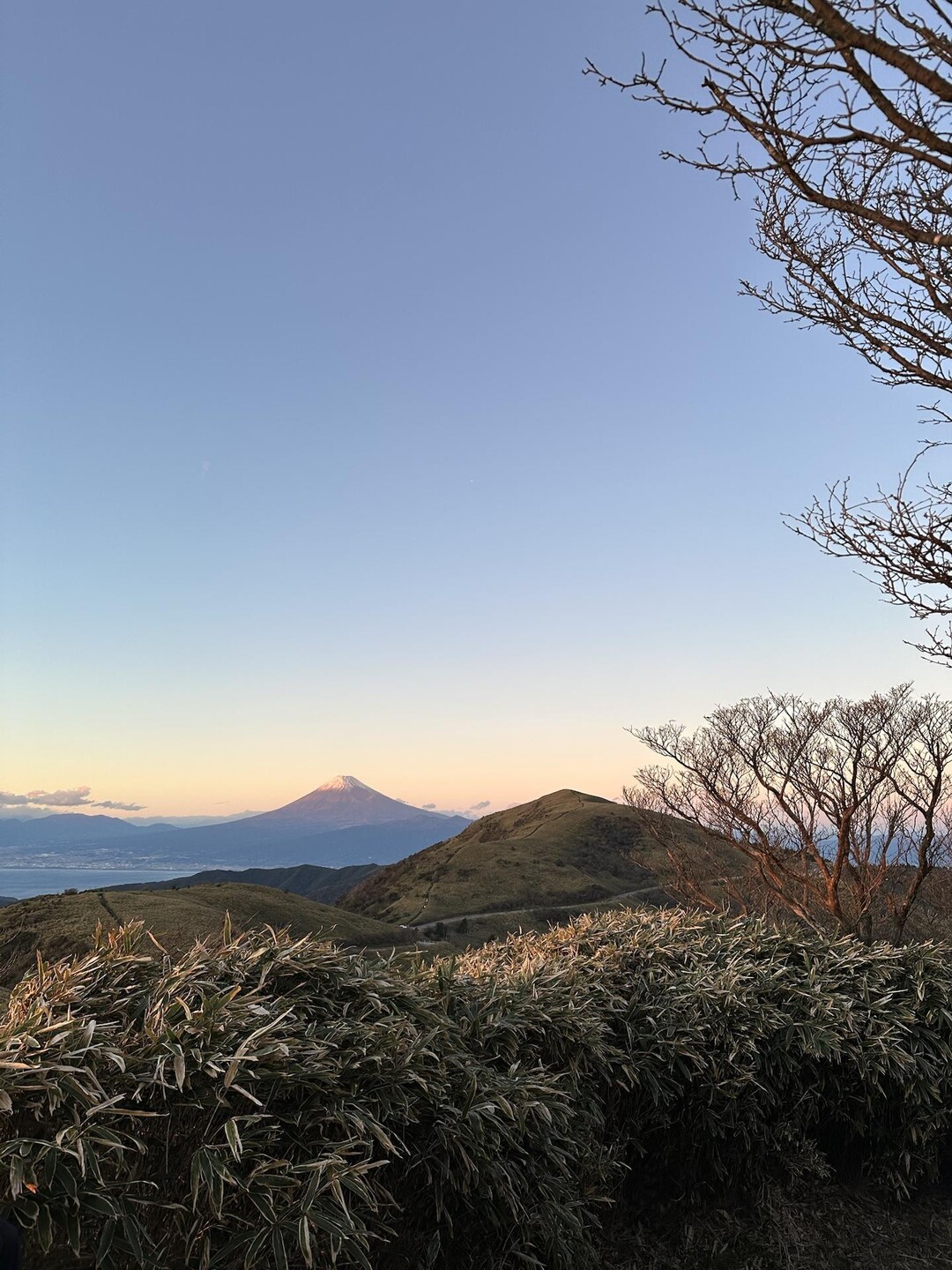 ITJ 70k 2024/12/8 / ヤス！さんの長九郎山の活動データ | YAMAP / ヤマップ