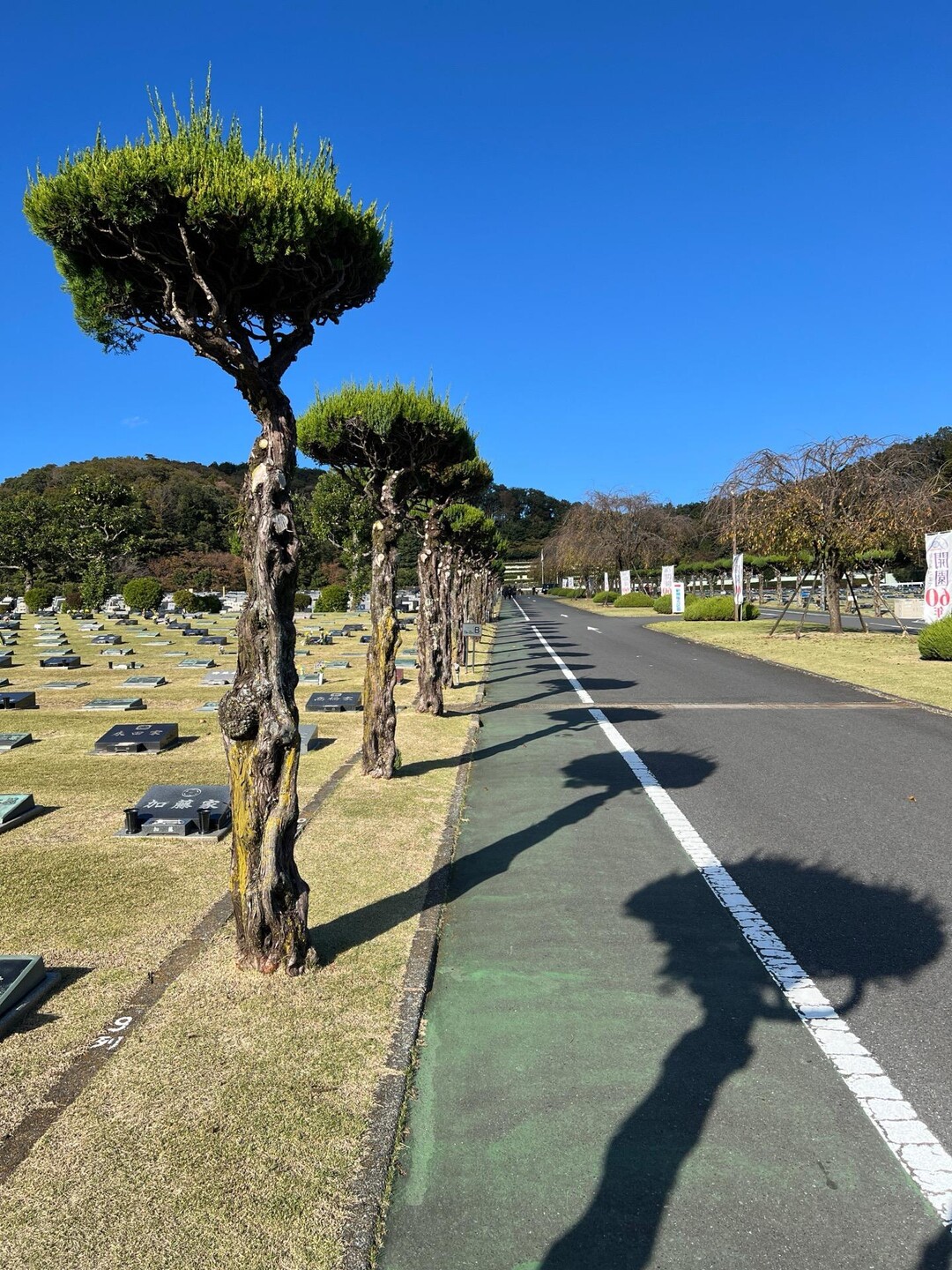 天狗山・三栗山 / Nic_kgさんの城山・三増峠の活動データ | YAMAP / ヤマップ