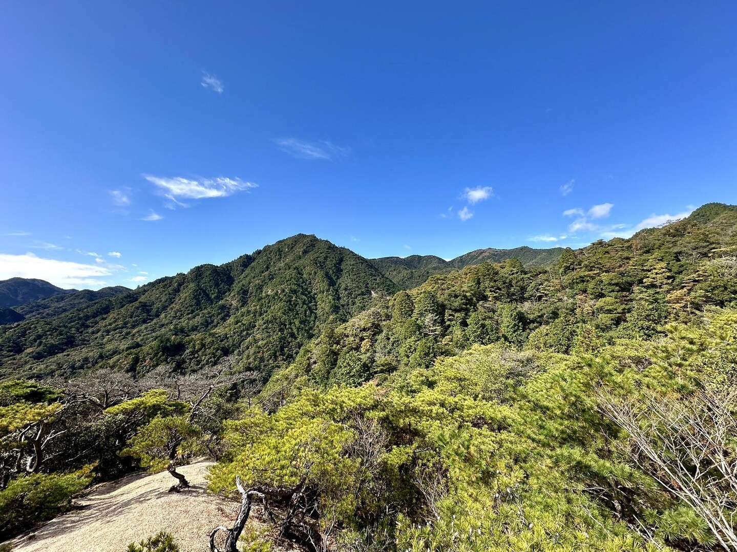 鬼ヶ牙・長坂の頭・大岩・船石・ベンケイ・臼杵ヶ岳・臼杵山 / saさんの高畑山・那須ヶ原山・油日岳の活動データ | YAMAP / ヤマップ