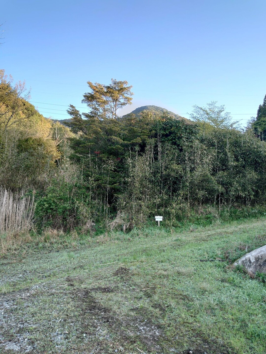 作礼山東峰（権現山）・897ピーク・作礼山 / shinshinさんの作礼山の活動データ | YAMAP / ヤマップ