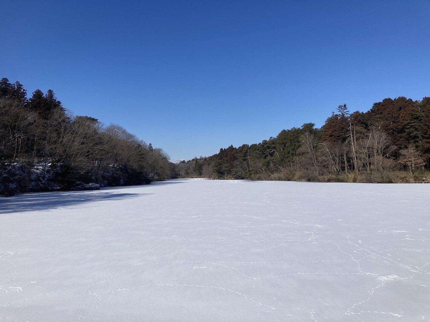 おはようございます^ ^ 今朝はとても... / OBsunさんのモーメント | YAMAP / ヤマップ