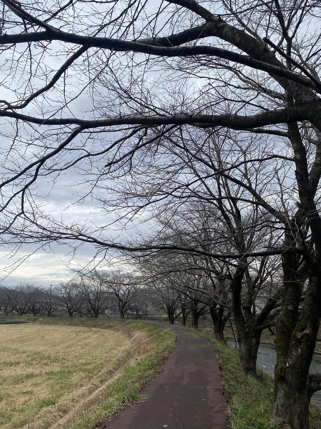 ️️ 一陽来復 ️ 12月21日は... / meshiさんのモーメント | YAMAP / ヤマップ