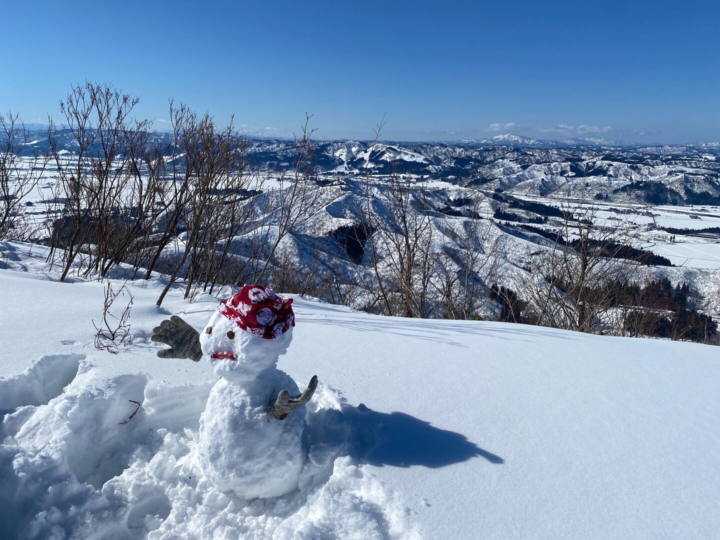 魚沼 大力山 周回 / mtakoさんのウォーキングの活動データ | YAMAP / ヤマップ