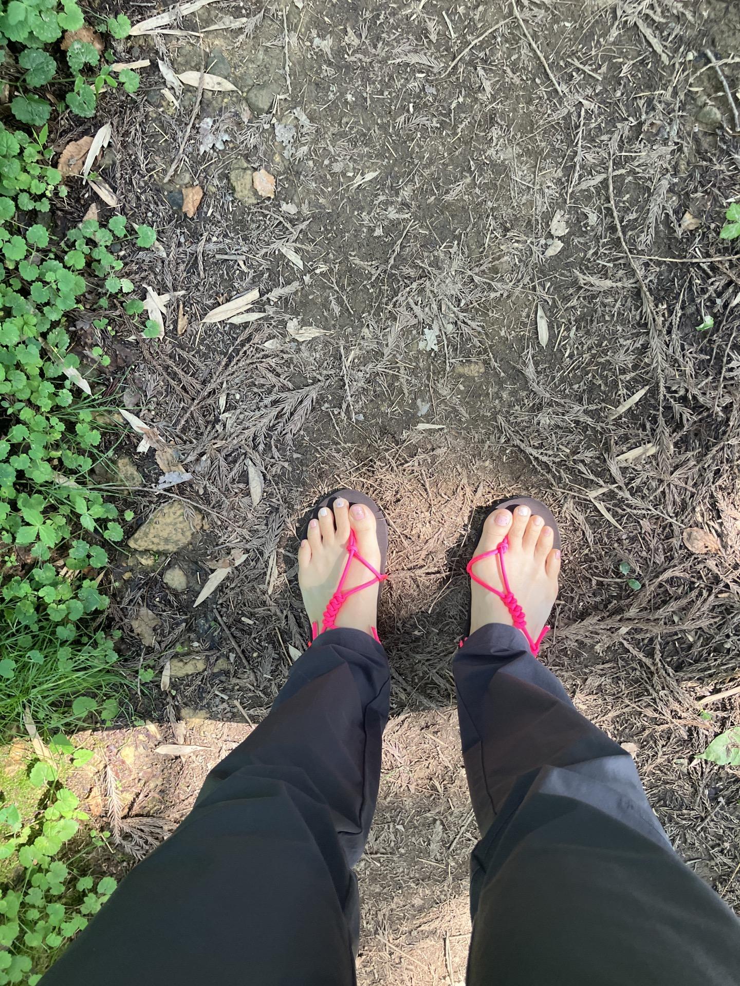 下市山ワラーチ活 カモシカと低山と / pongoさんの下市山の活動データ | YAMAP / ヤマップ