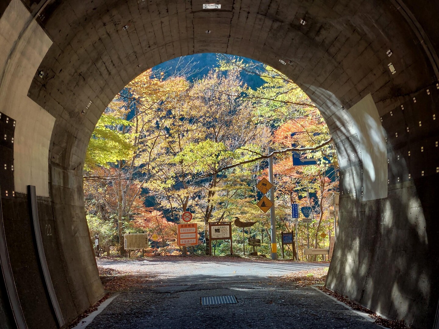 砥石権現～あの日見た金色の森へ～ / だいもんさんの高城山・天神丸の活動データ | YAMAP / ヤマップ