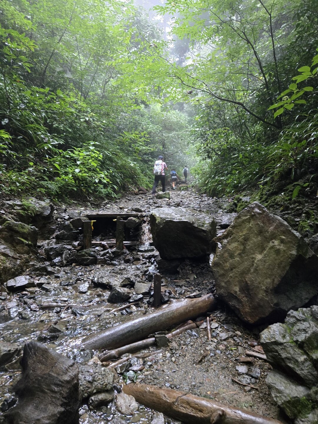 高尾山 / YSKさんの高尾山・陣馬山・景信山の活動データ | YAMAP / ヤマップ