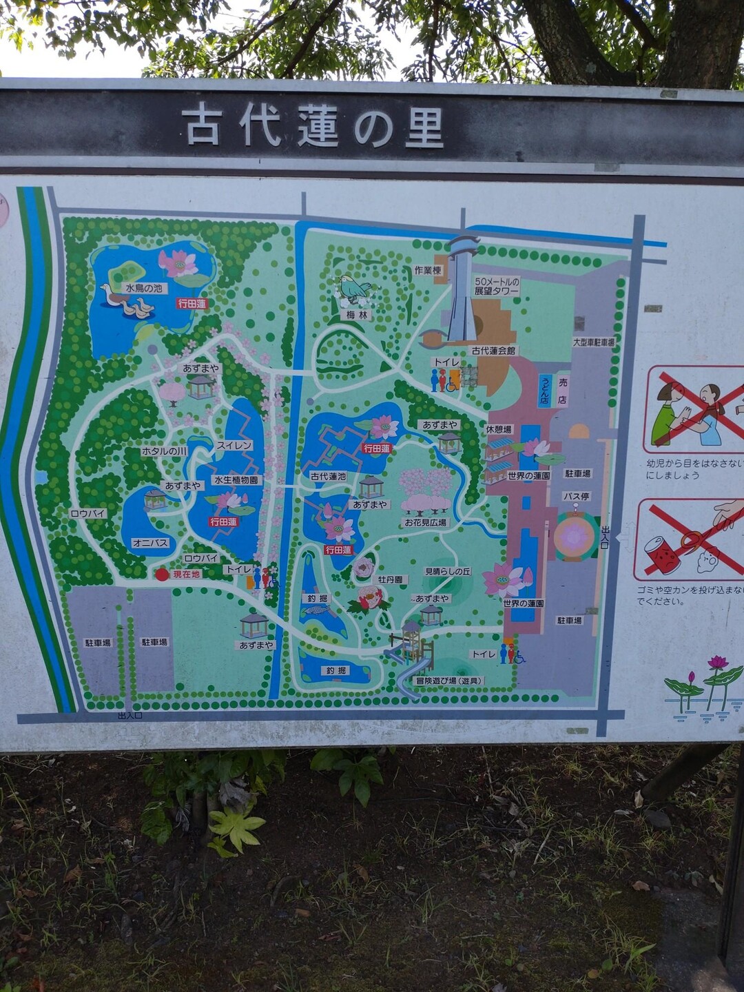 行田市「古代蓮の里公園」からながめる「田... / Y-JJさんのモーメント | YAMAP / ヤマップ