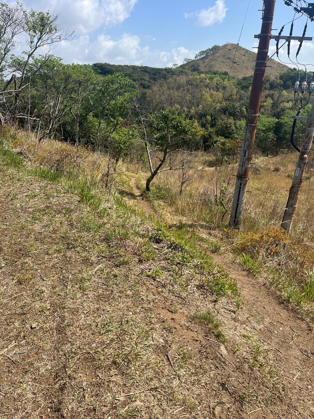 nekodakeさんの投稿したフィールドメモ | YAMAP / ヤマップ