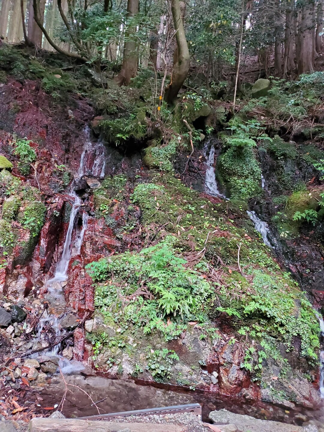 銚子岳・静ヶ岳・竜ヶ岳 / KM-2さんの竜ヶ岳の活動データ | YAMAP / ヤマップ