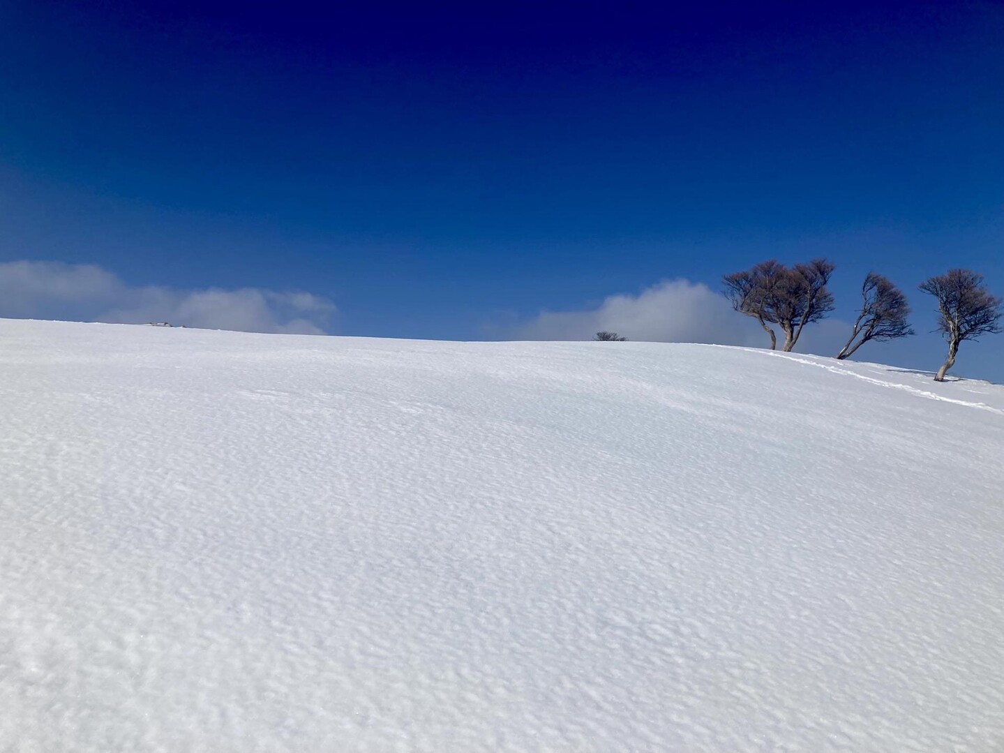 初めての雪の竜ヶ岳 / ことりさんの竜ヶ岳の活動データ | YAMAP / ヤマップ