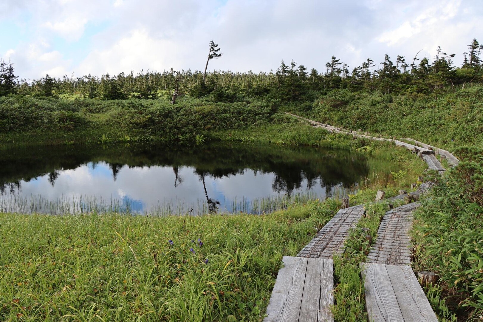 八幡平 PM / ちびかぼちゃさんの八幡平・源太森・安比岳の活動データ | YAMAP / ヤマップ
