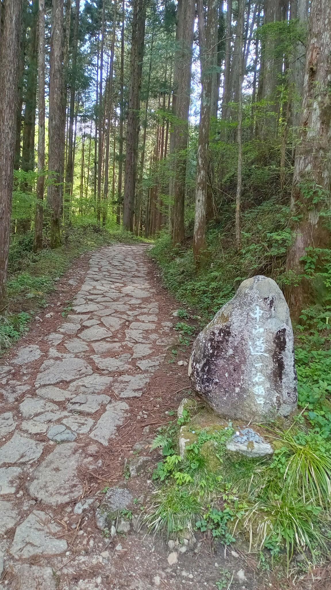 サムライロード（中山道を馬籠宿から妻籠宿へ） / FujiKさんの中山道（妻籠宿・馬籠宿・落合宿・中津川宿）の活動データ | YAMAP / ヤマップ