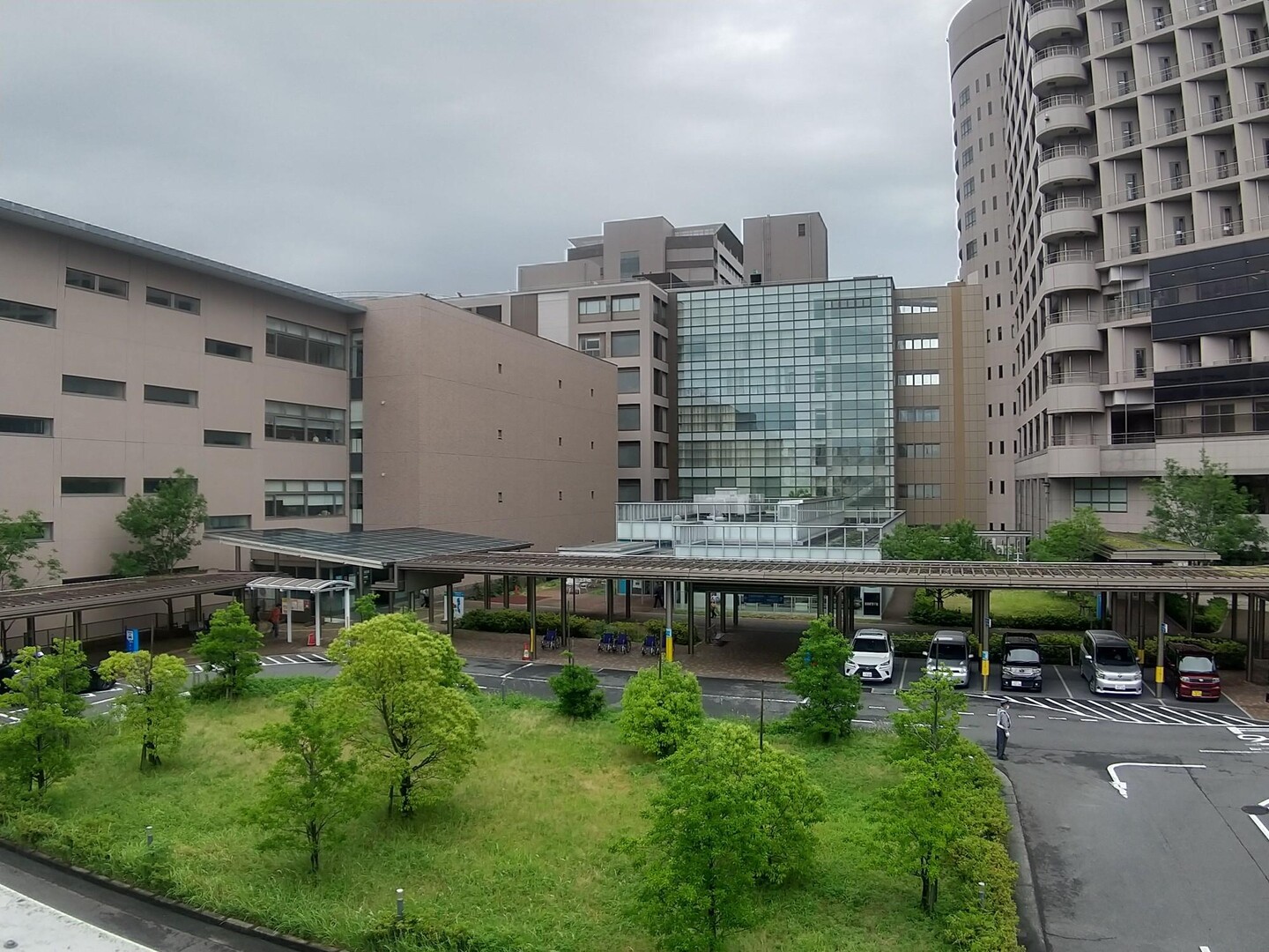 ランニング-2024-05-31 / hottyさんのランニングの活動データ | YAMAP / ヤマップ