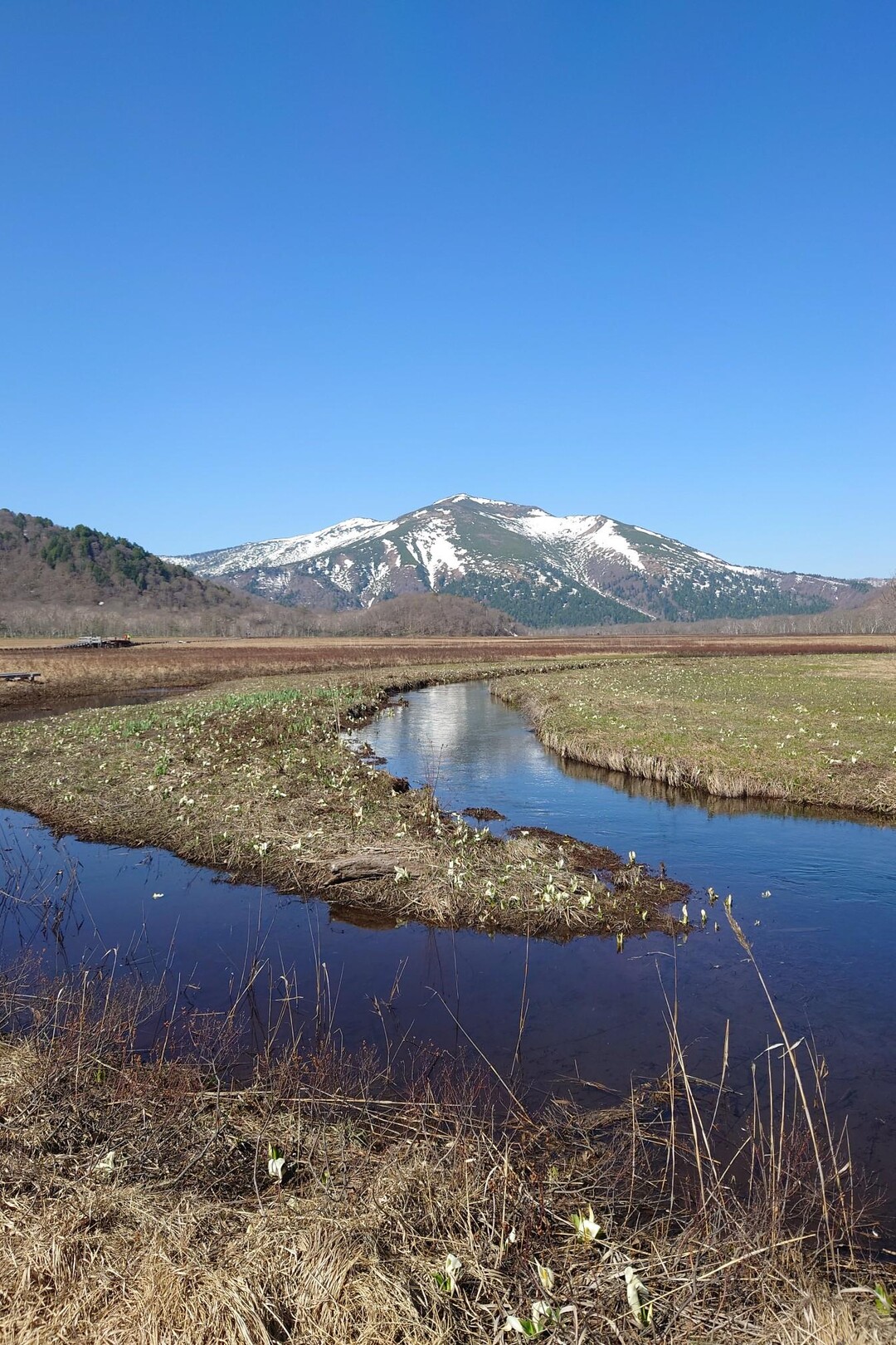 尾瀬・至仏山・悪沢岳・笠ヶ岳-2024-05-10 / ka-nyaさんの尾瀬・至仏山・悪沢岳・笠ヶ岳の活動データ | YAMAP / ヤマップ