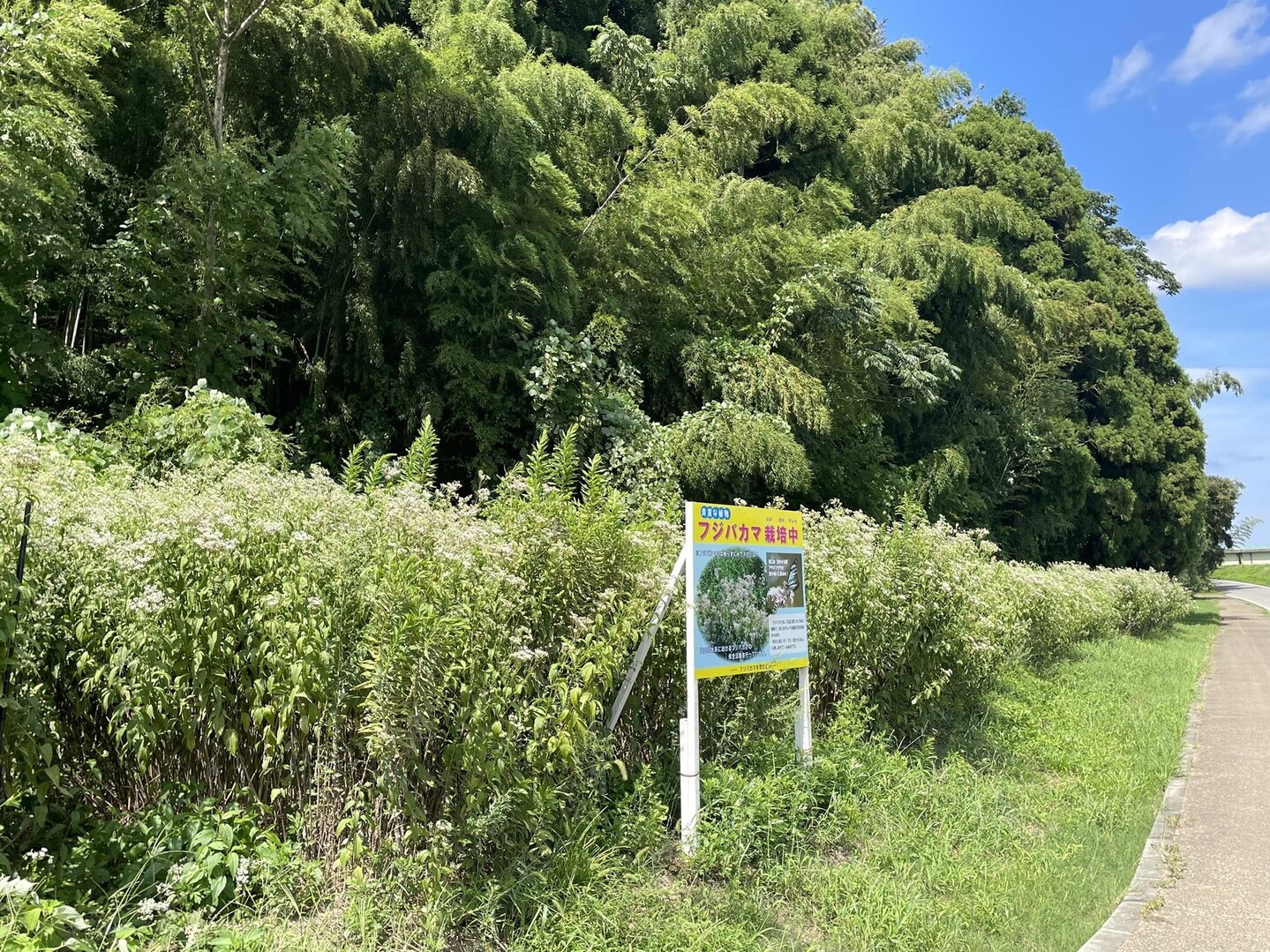 加陽湿地公園にフジバカマの様子を見に立ち... / kei.keiさんのモーメント | YAMAP / ヤマップ