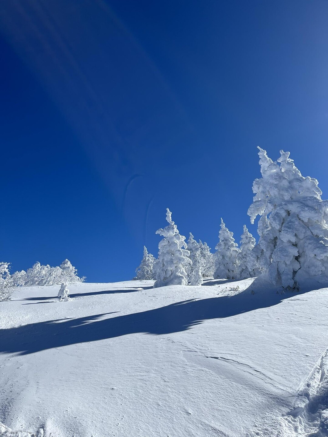 根子岳BCスキー / HRKさんの四阿山・根子岳の活動データ | YAMAP / ヤマップ