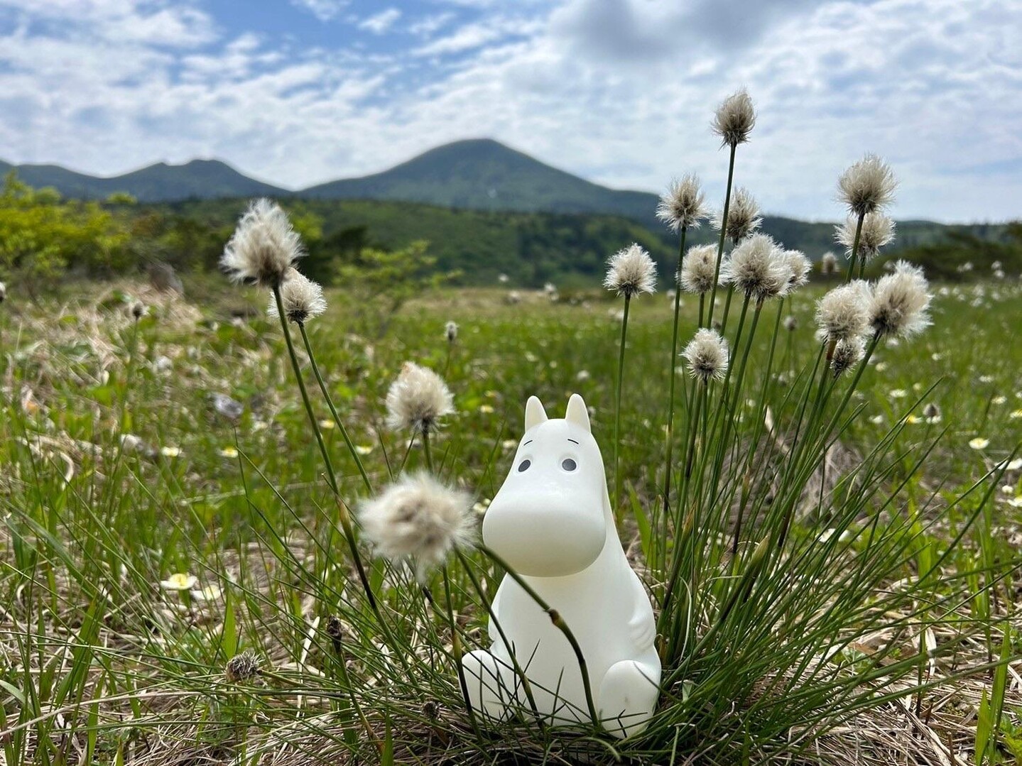 赤倉岳・井戸岳 / akoさんの八甲田山・高田大岳・雛岳の活動日記 | YAMAP / ヤマップ