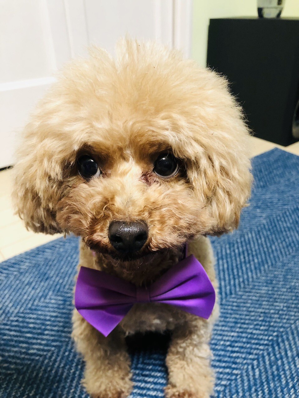 ma-tinのページ | YAMAP / ヤマップ