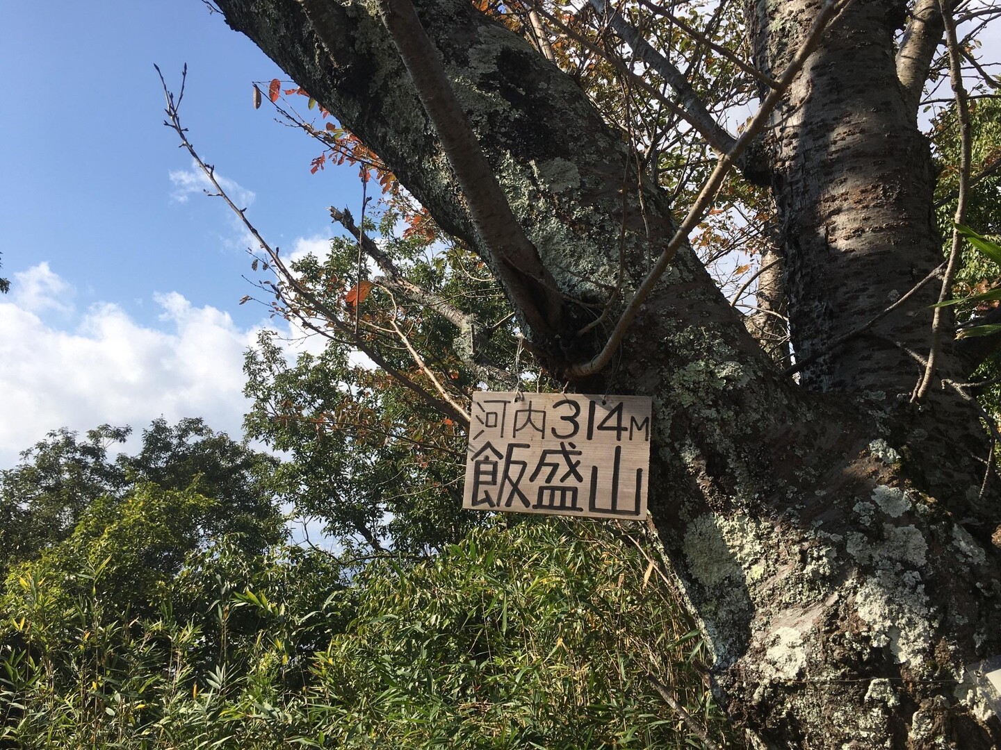 2022.10.24(月) 14:17 / がっさんさんのモーメント | YAMAP / ヤマップ