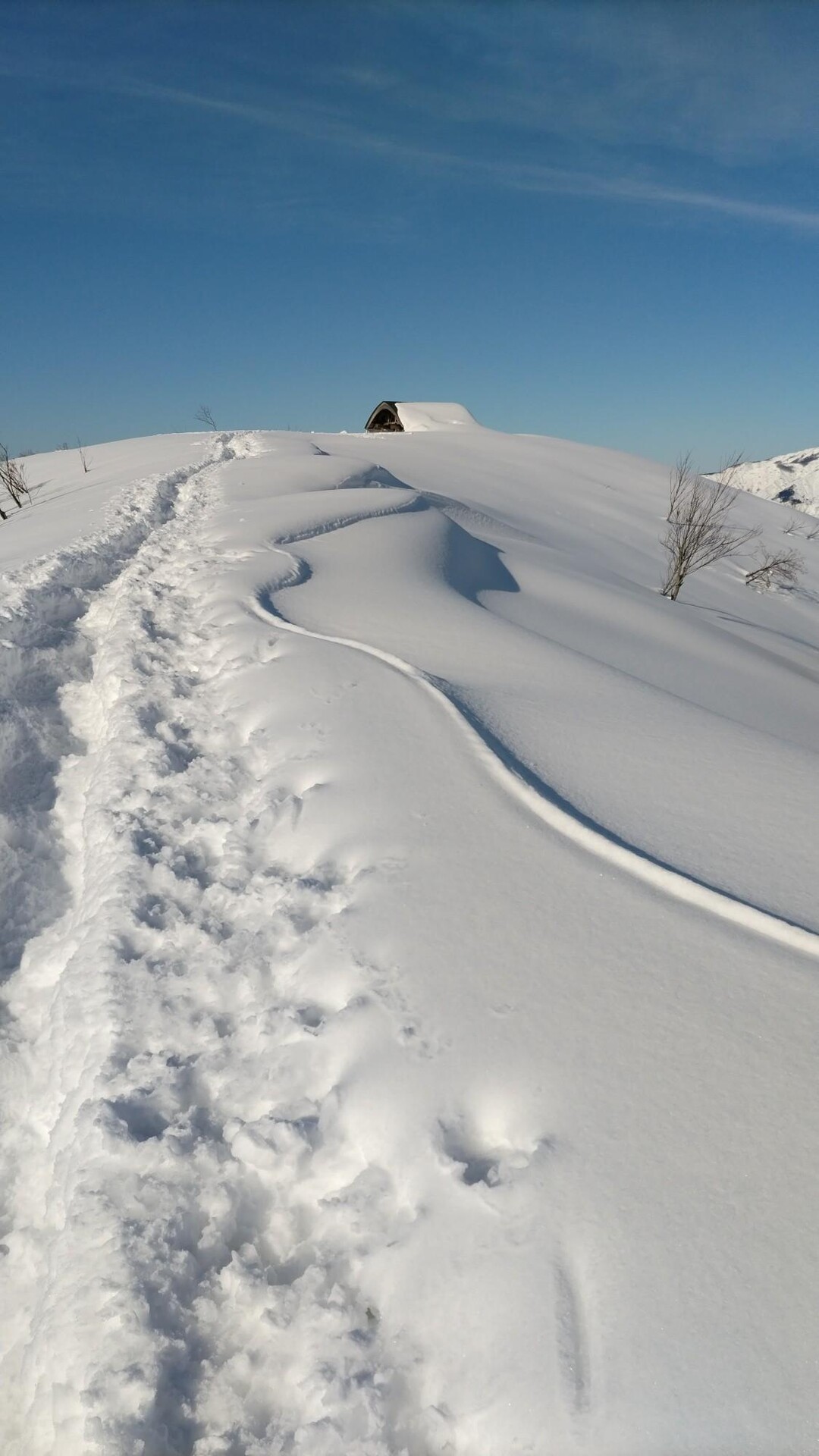 大力山 / sakura ken3さんの大力山・黒禿の頭・笠倉山の活動データ | YAMAP / ヤマップ