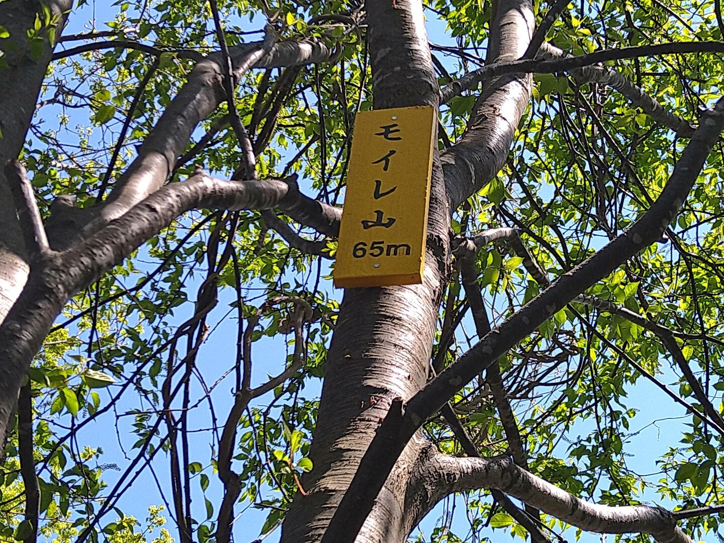 モイレ山 / hirohiroさんの尻場山の活動データ | YAMAP / ヤマップ