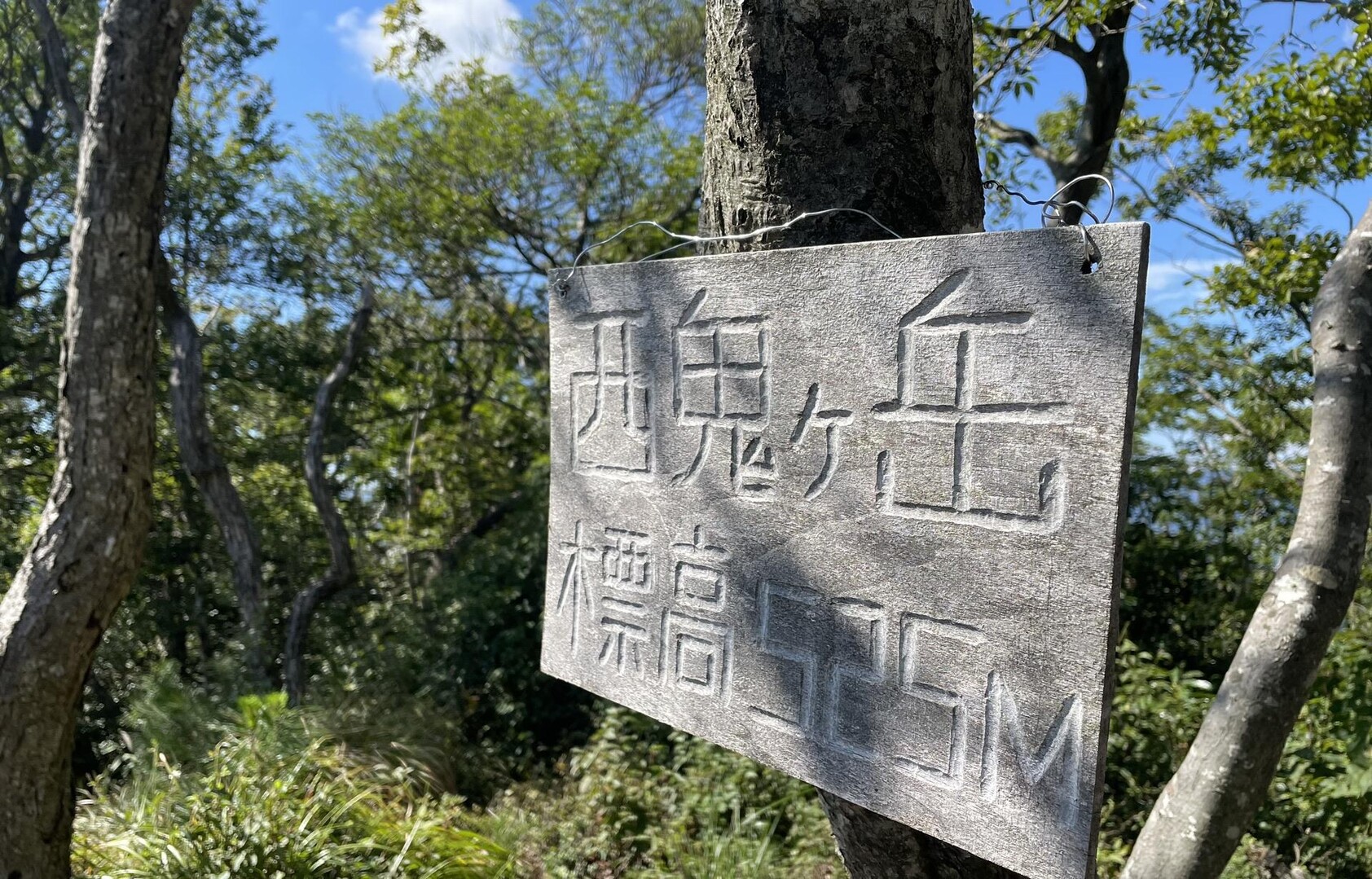 蜘蛛天国🕷️ 鬼ヶ岳・西鬼ヶ岳 / ゆきuんこさんの鬼ヶ岳の活動日記へのコメント一覧 | YAMAP / ヤマップ