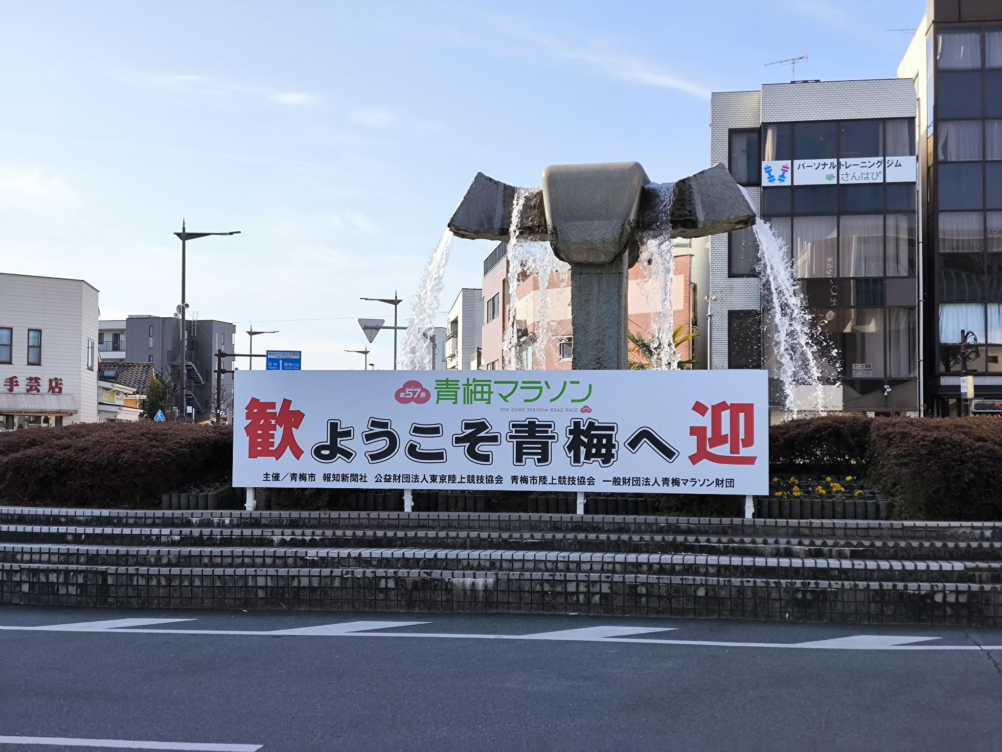 青梅マラソン2025 / odanさんの青梅市の活動データ | YAMAP / ヤマップ