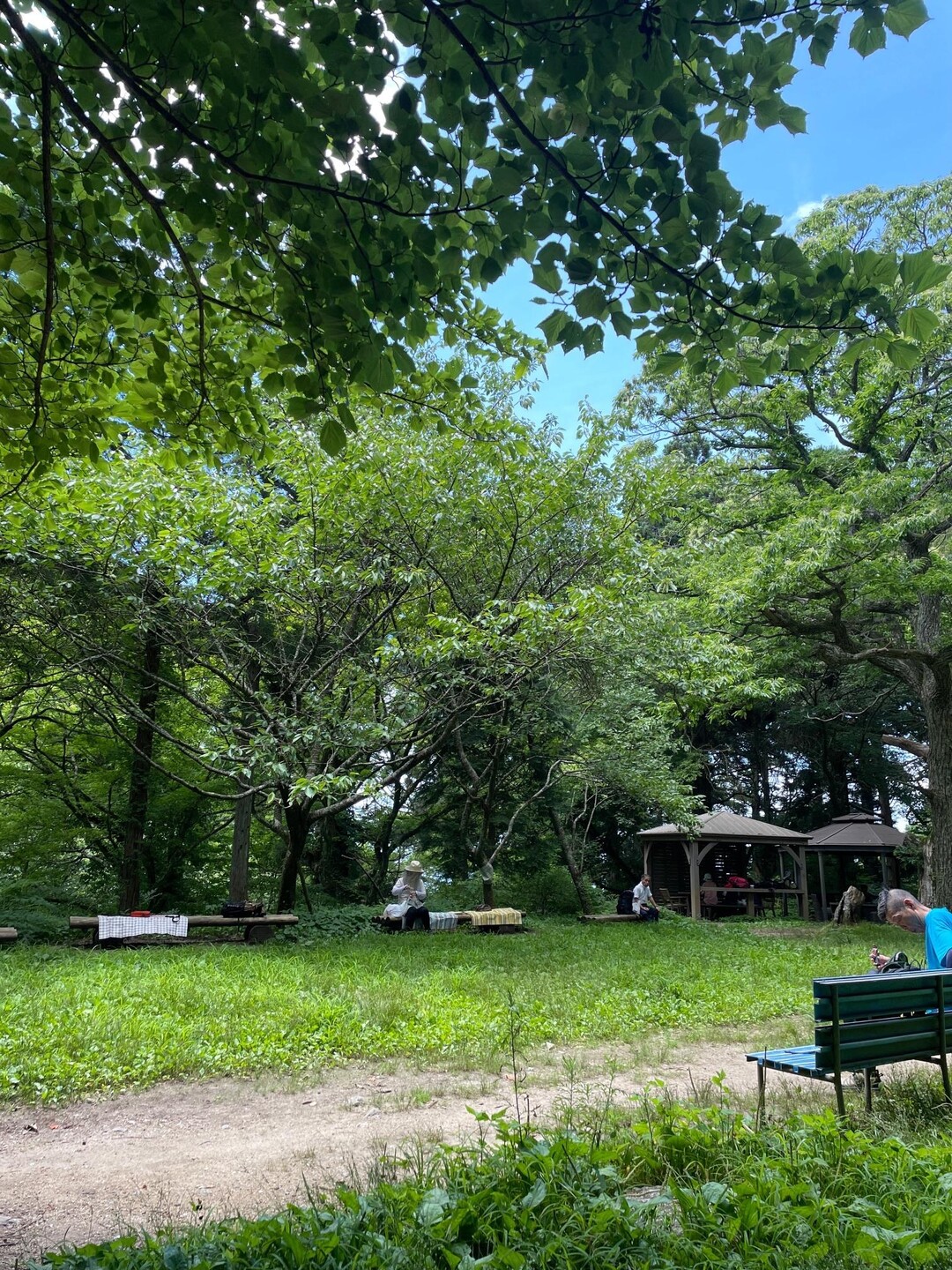 Ayano さんの投稿したフィールドメモ | YAMAP / ヤマップ