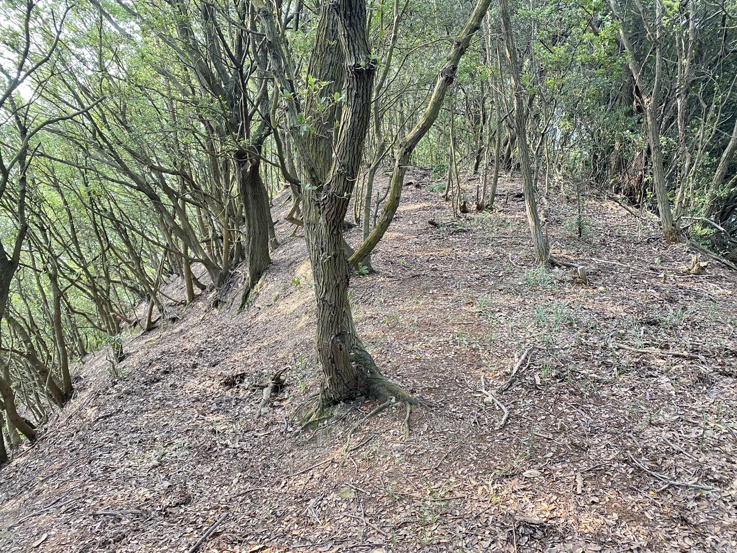 TOSHIさんの投稿したフィールドメモ | YAMAP / ヤマップ