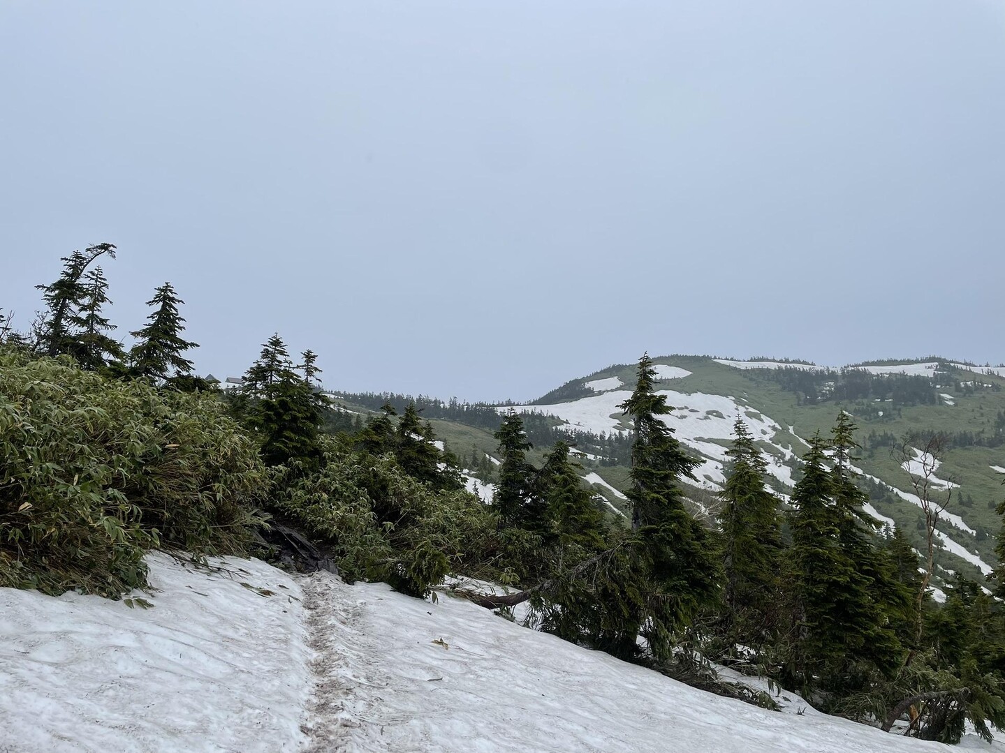 会津駒ヶ岳 / Yuminaさんの会津駒ヶ岳の活動データ | YAMAP / ヤマップ