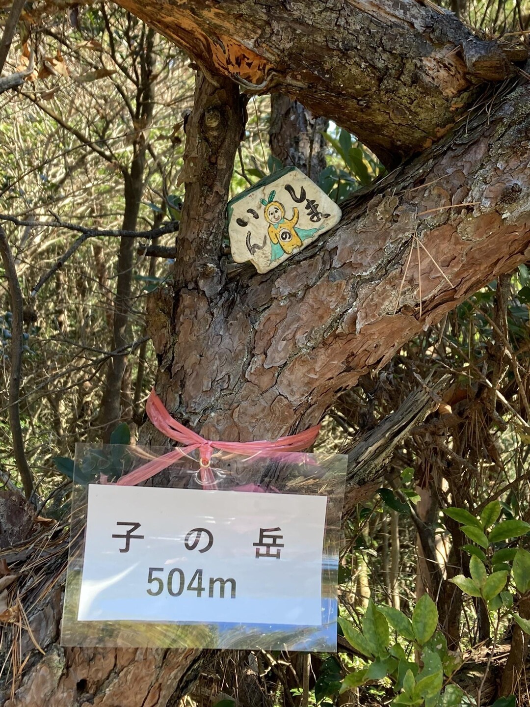 烏帽子岩山・上山・宮ヶ迫山・西小屋山・竜山・中野山・絵下山・子の岳・市光山・小松尾山・中天狗・... / kiyo 096さんの絵下山・天狗城山・森山の活動データ | YAMAP / ヤマップ