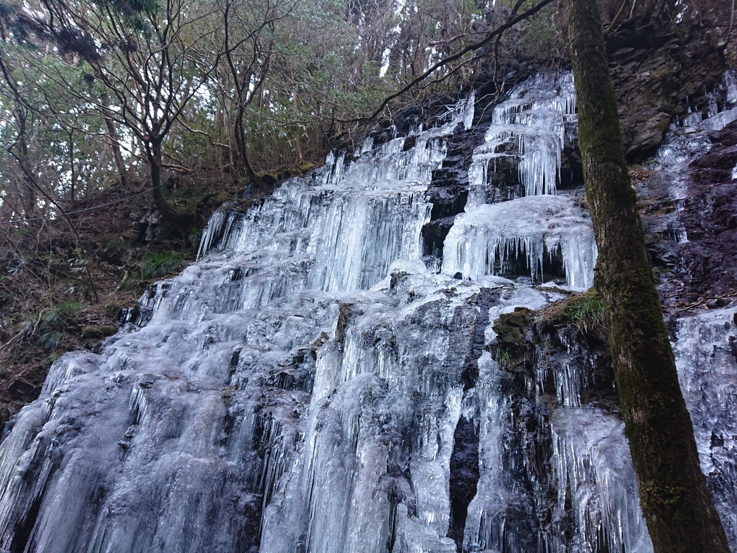真富士山・富士見岳 / そんちょうさんの真富士山の活動データ | YAMAP / ヤマップ