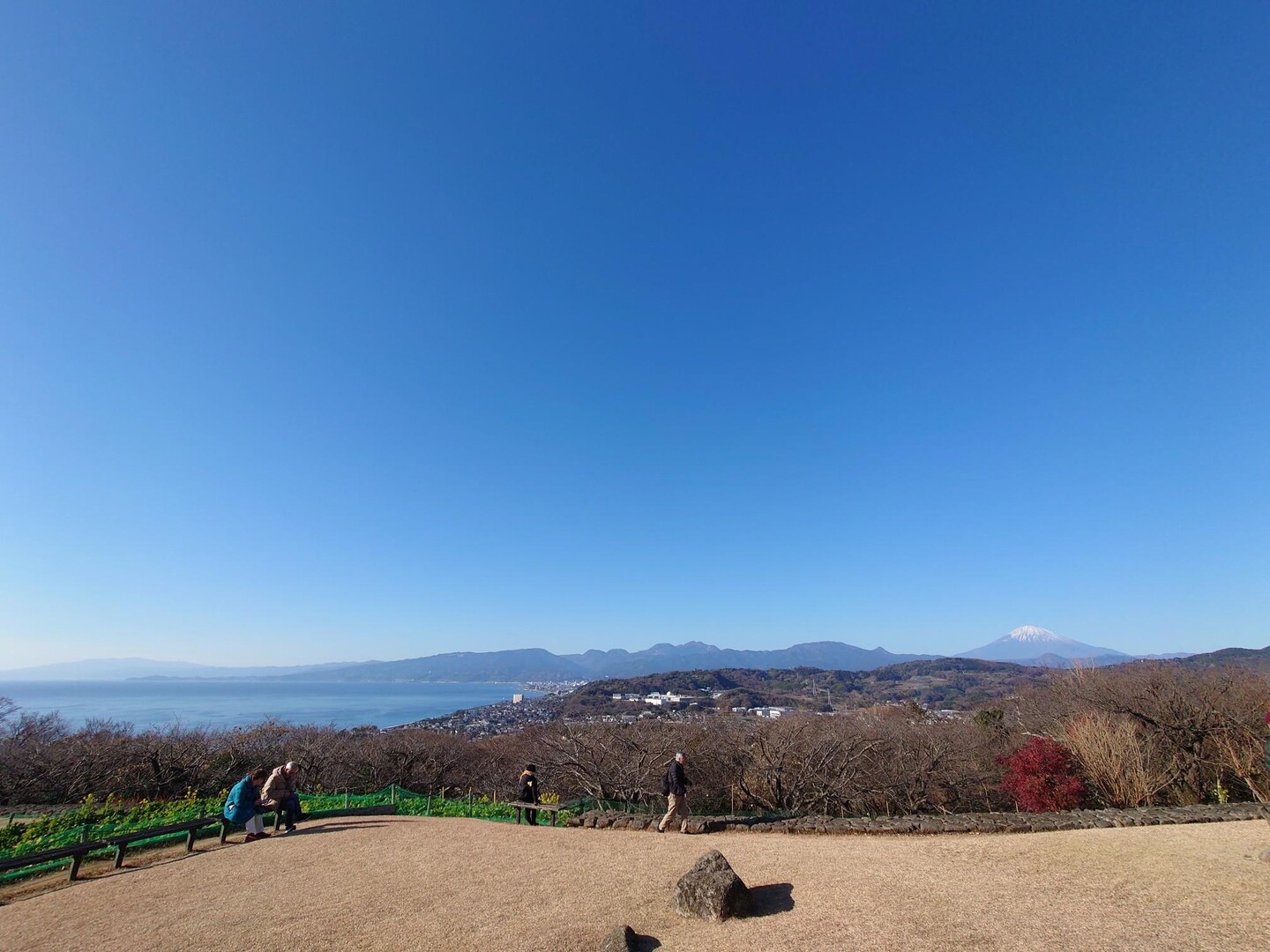 吾妻山（二宮） / nishikoma-maさんの高麗山・湘南平・鷹取山の活動データ | YAMAP / ヤマップ