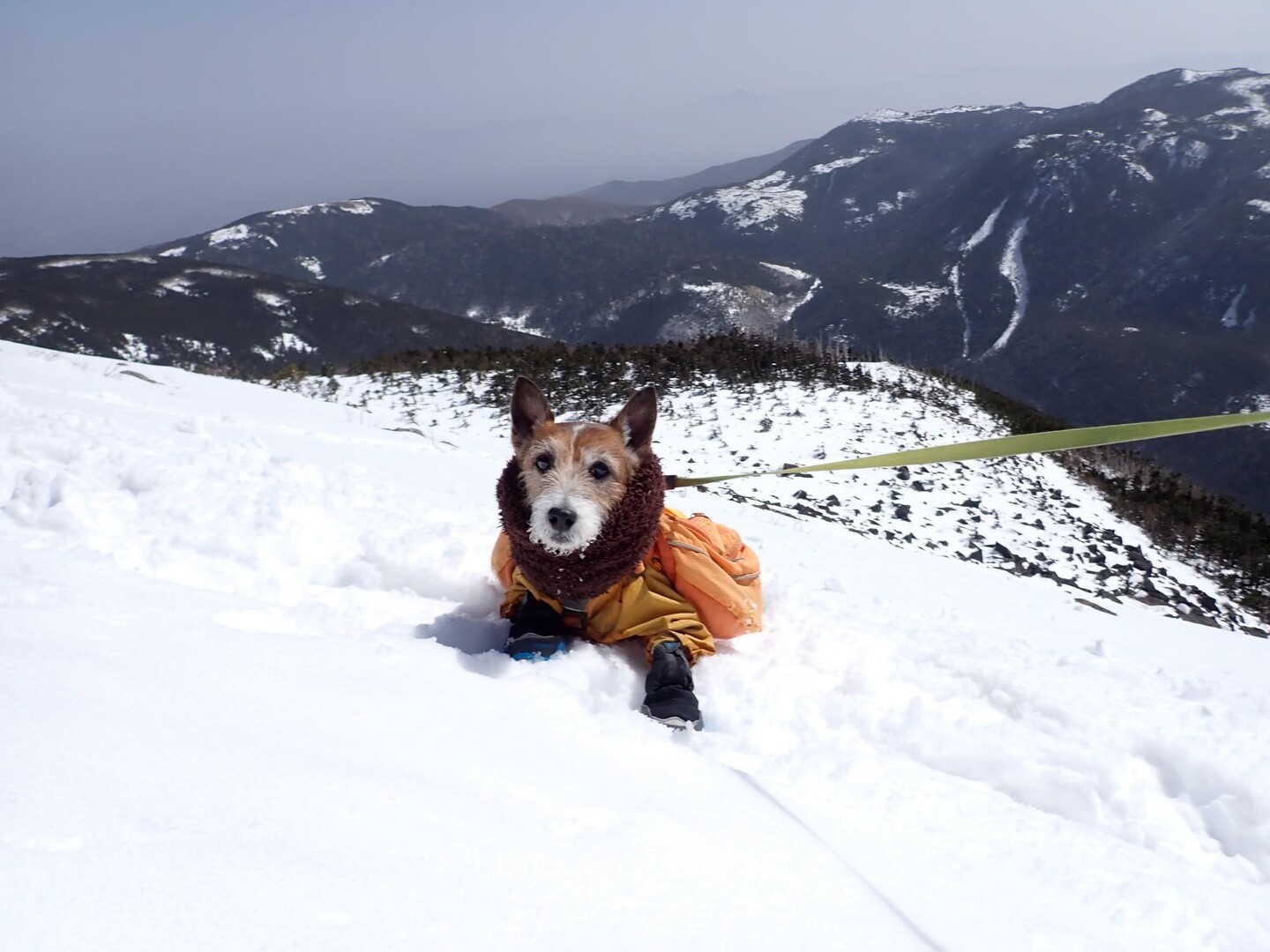蓼科山 / katchamanさんの蓼科山・横岳・縞枯山の活動データ | YAMAP / ヤマップ