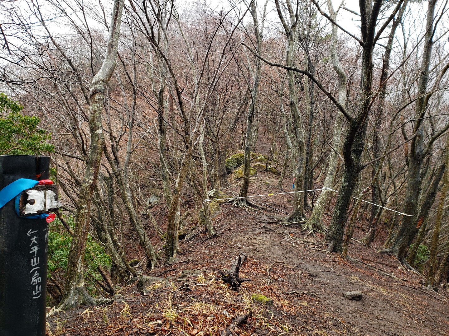 モックンさんの投稿したフィールドメモ | YAMAP / ヤマップ