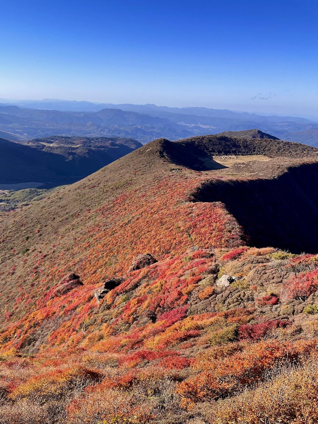 🍁紅葉🍁に萌える ⛰️北大船山・大船山⛰️ / miu.07さんの九重山（久住山）・大船山・星生山の活動データ | YAMAP / ヤマップ