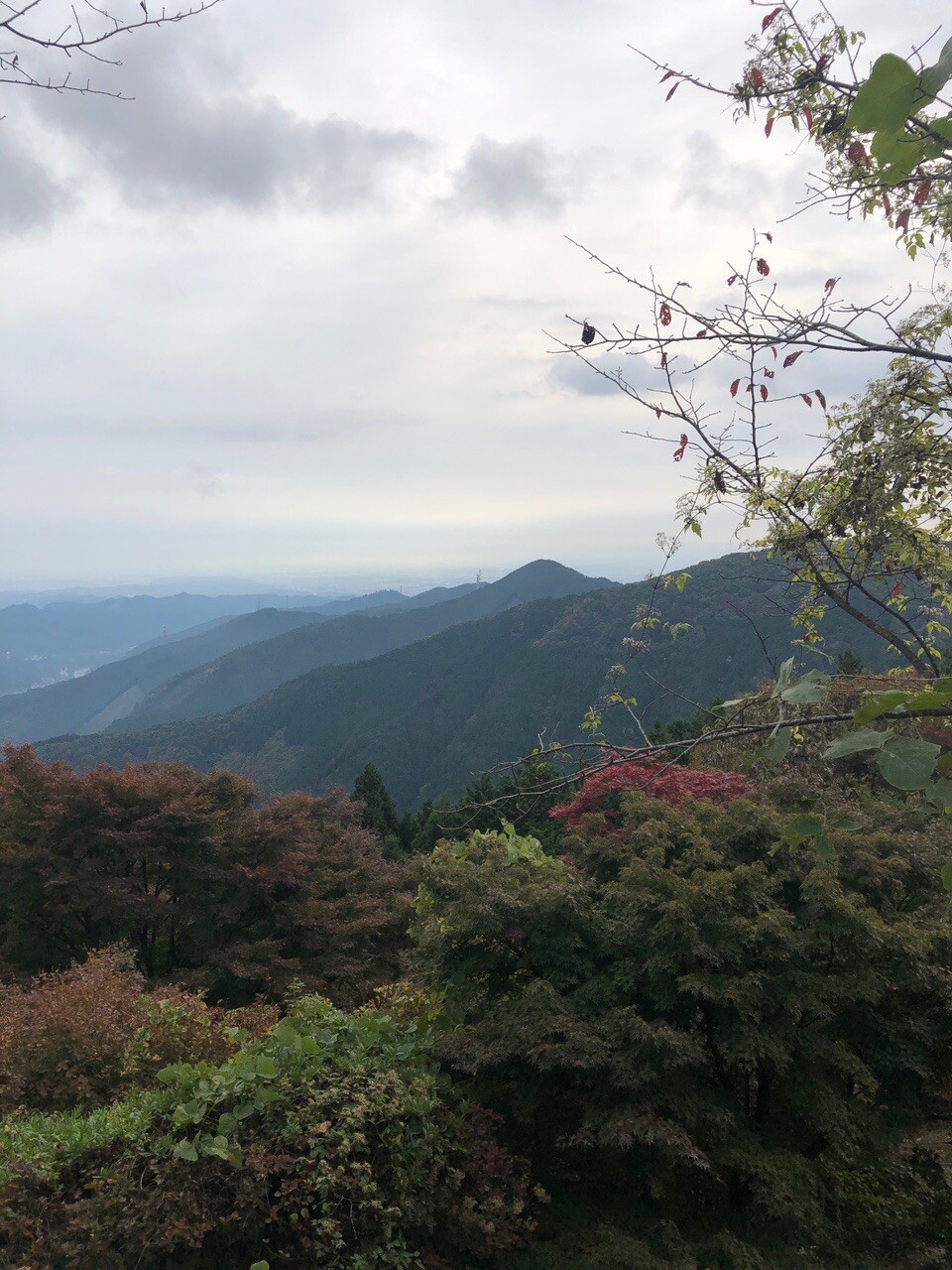 JINさんの投稿したフィールドメモ | YAMAP / ヤマップ