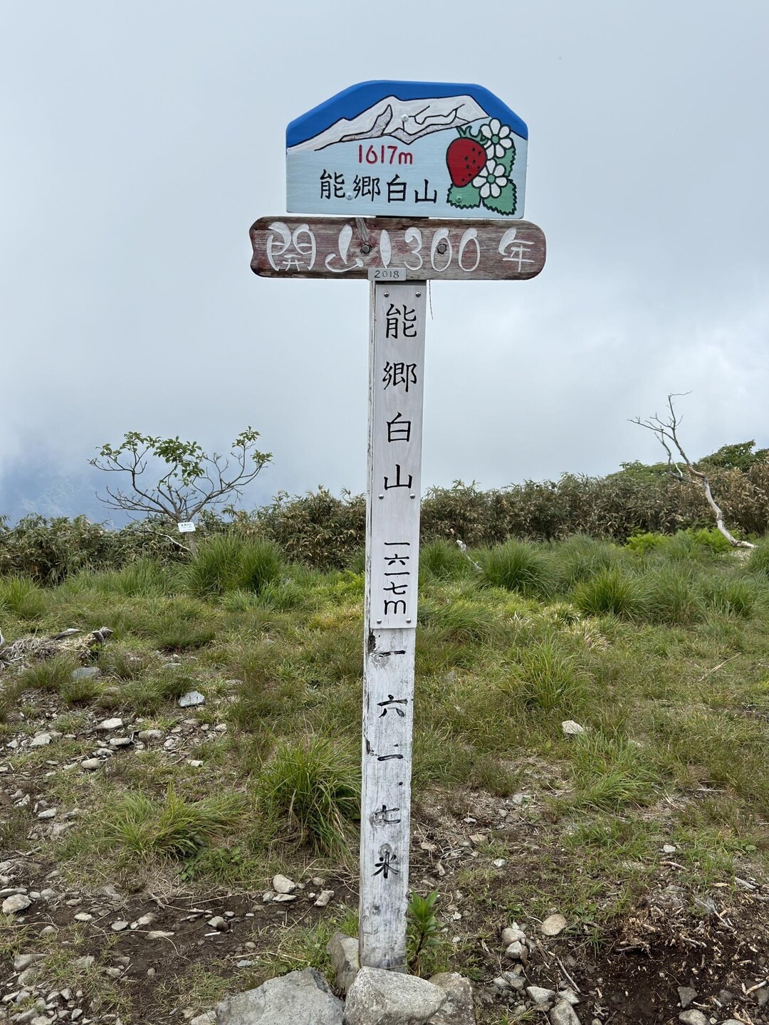 コロンブスピーク・能郷白山 2024-6-16 / jt0450さんの能郷白山の活動データ | YAMAP / ヤマップ