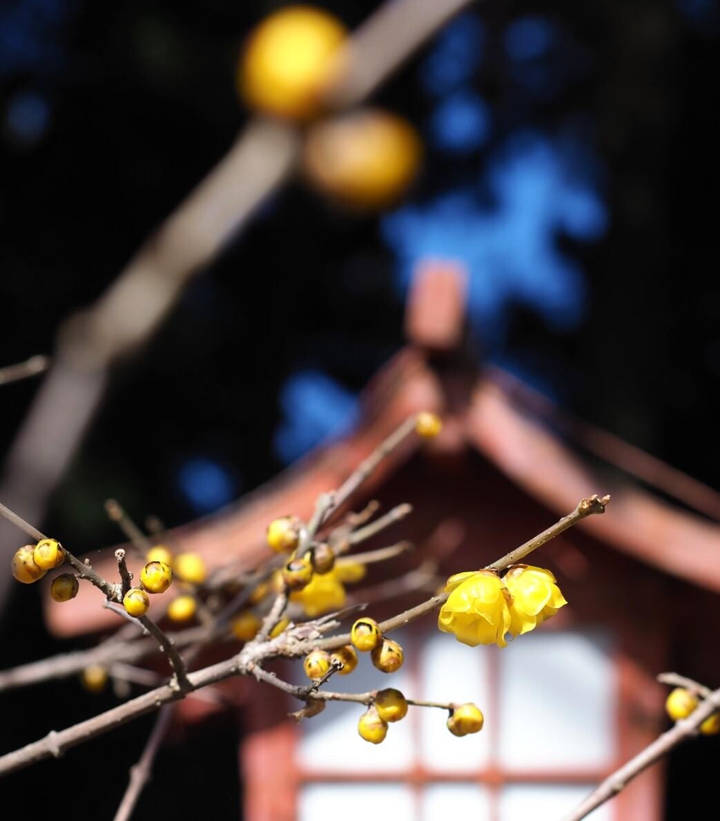 羽黒山 / kuramanさんの羽黒山の活動データ | YAMAP / ヤマップ
